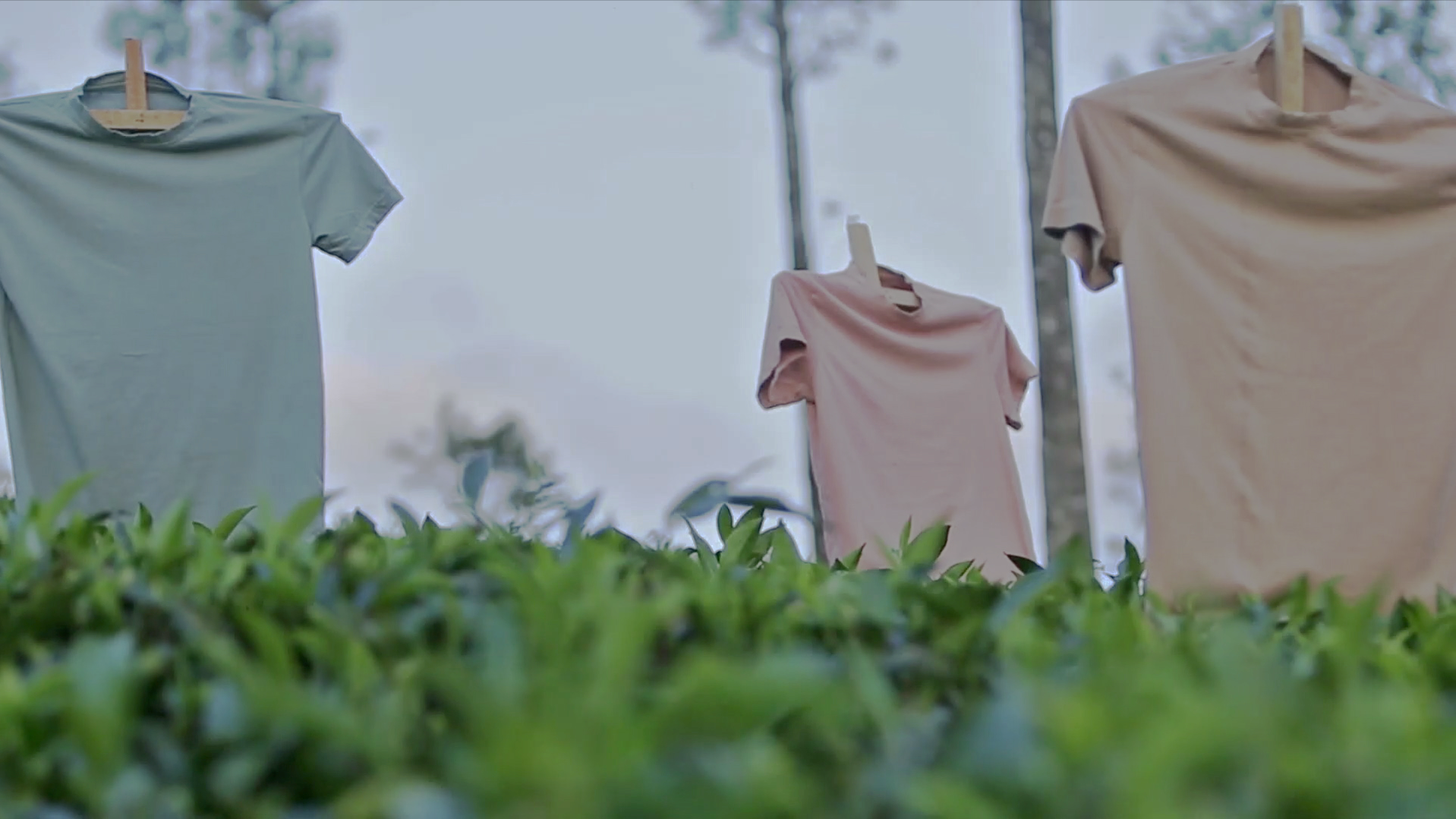 How a tea stain turned into a fashion opportunity | Unilever